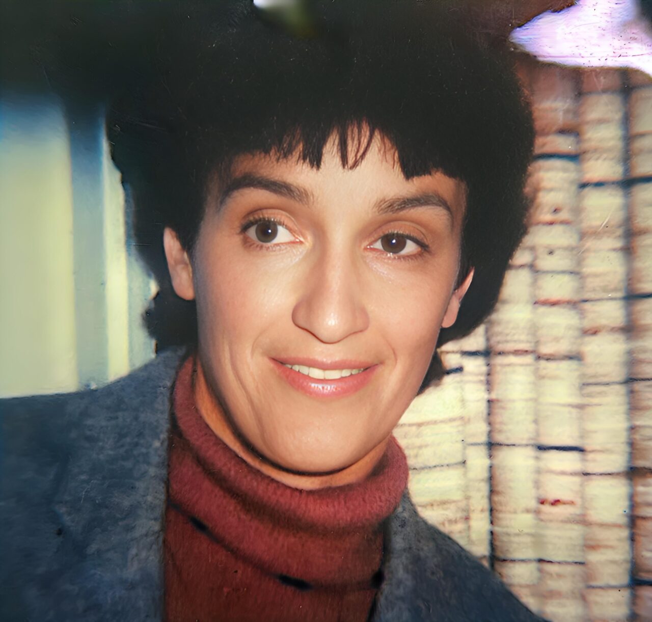 The Deck Investigates - Season Two - The Deck